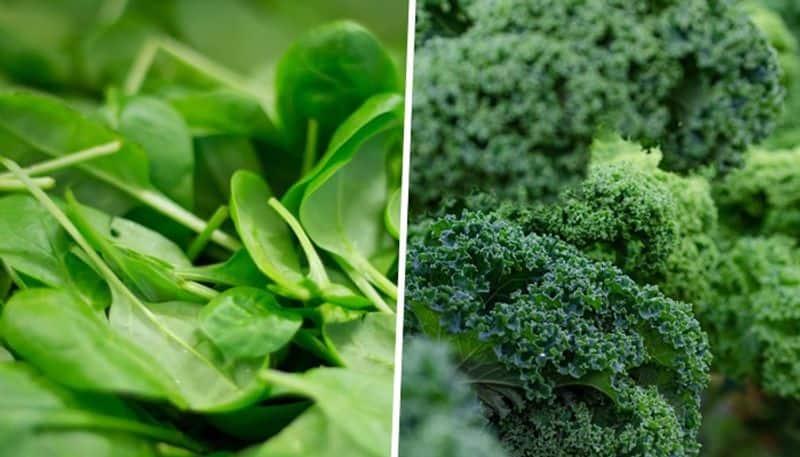 Kale To Broccoli: 7 Iron-Rich Vegetables To Boost Your Nutritional Intake