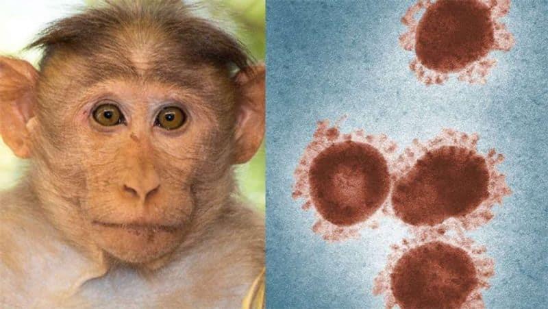 Karnataka Reports Two Deaths From Monkey Fever: What Are Its Symptoms?