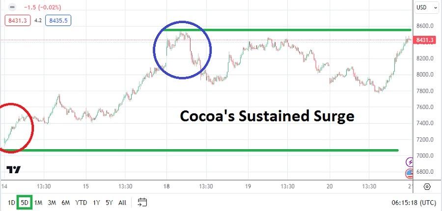 Cocoa Analysis Today- 21/03: High Cocoa Prices Ahead (Chart)