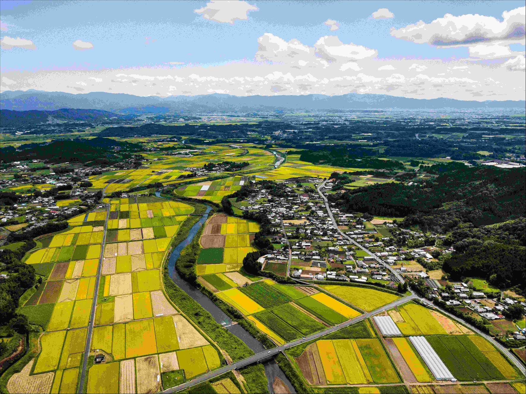 RX Japan's J AGRI Spotlights Kyushu's Potential As A Global Livestock ...