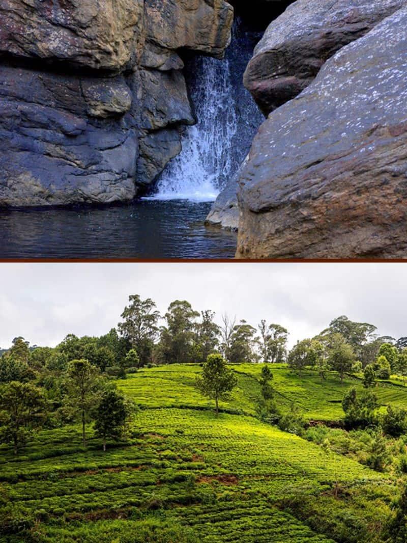 Shimla To Darjeeling: 7 Cool Places In India For A Comfortable Summer