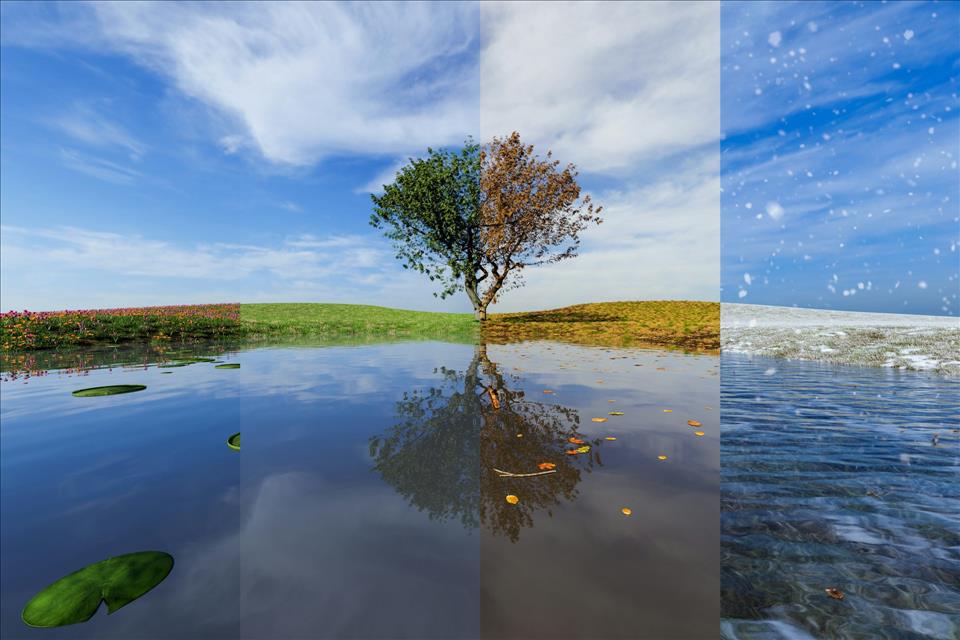 Seasonal Change Can Affect People's Moods - And Their Moral Values