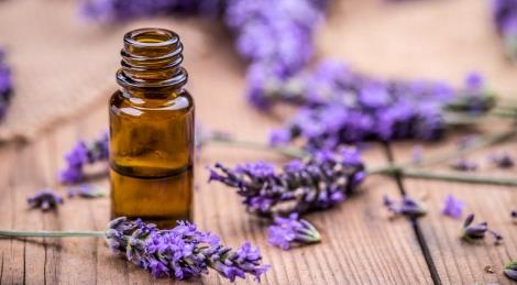 Essential Oil Manufacturing Plant Project Report 2024: Manufacturing ...