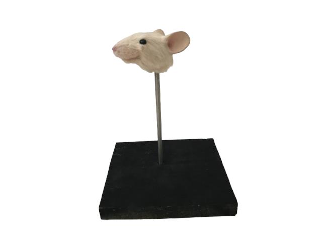 Props And Costumes From Major Motion Pictures Will Be Auctioned Online ...