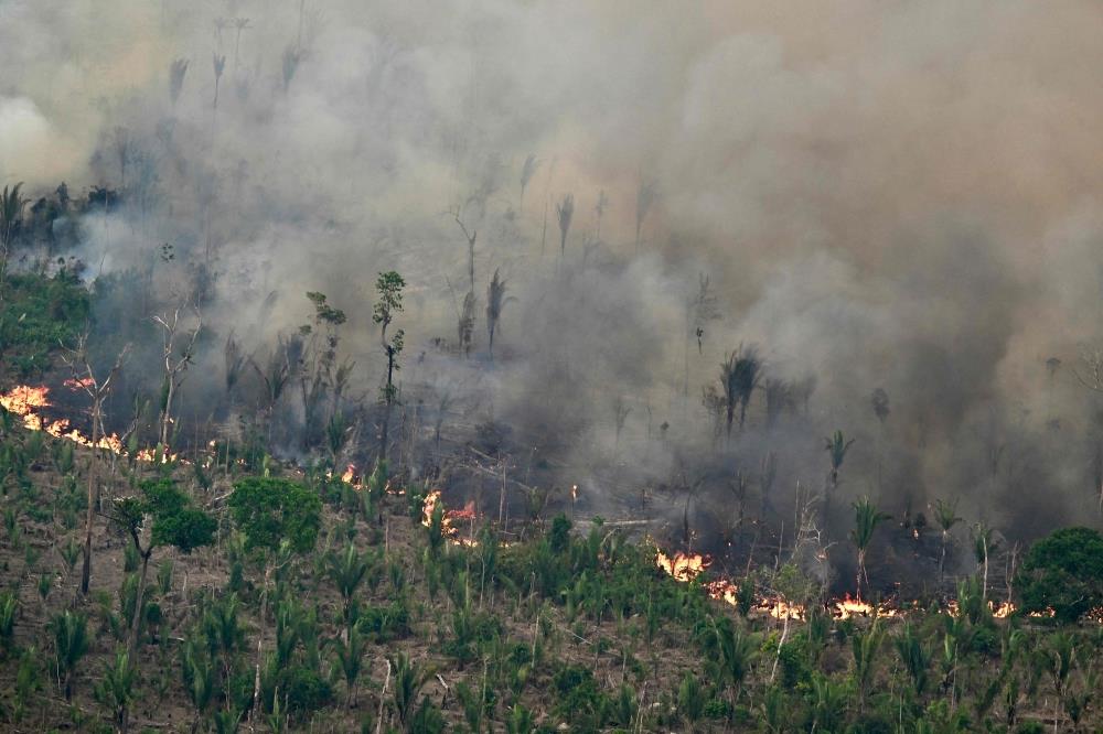 Brazil Saw 79% Jump In Area Burned By Fires In 2024