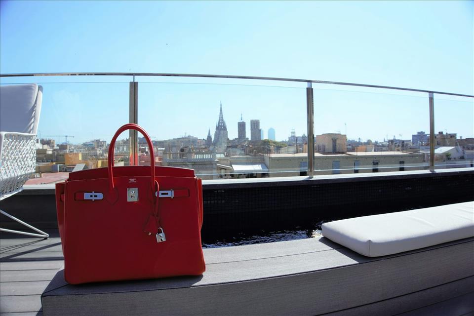 Birkin Vs Wirkin: The Backlash Against The Global Elite And Their ...