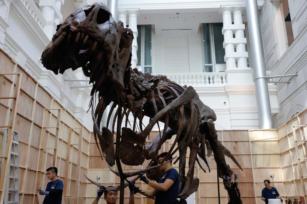 New T-Rex Ancestor Discovered In Drawers Of Mongolian Institute