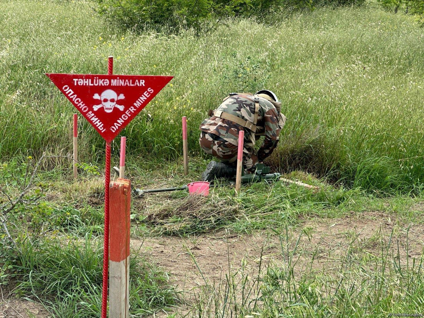 Azerbaijan's ANAMA Reports Progress In Mine Clearance Across Liberated Regions