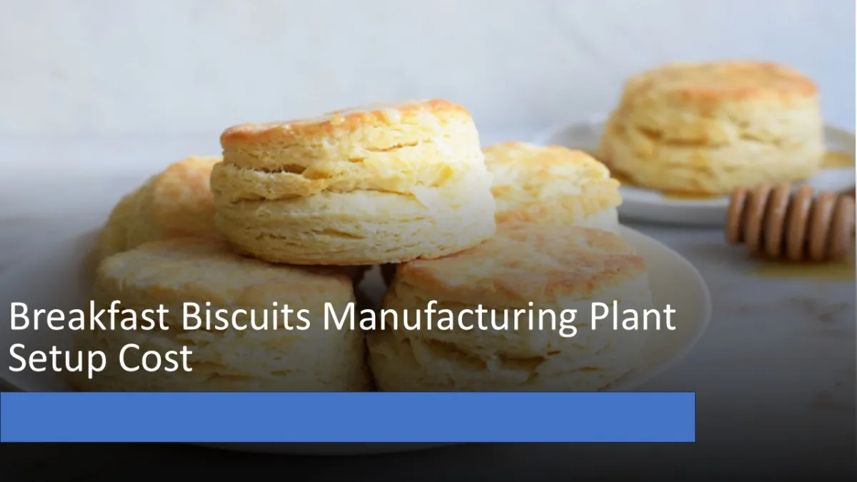 Breakfast Biscuits Manufacturing Plant Setup 2025: Industry Trends ...