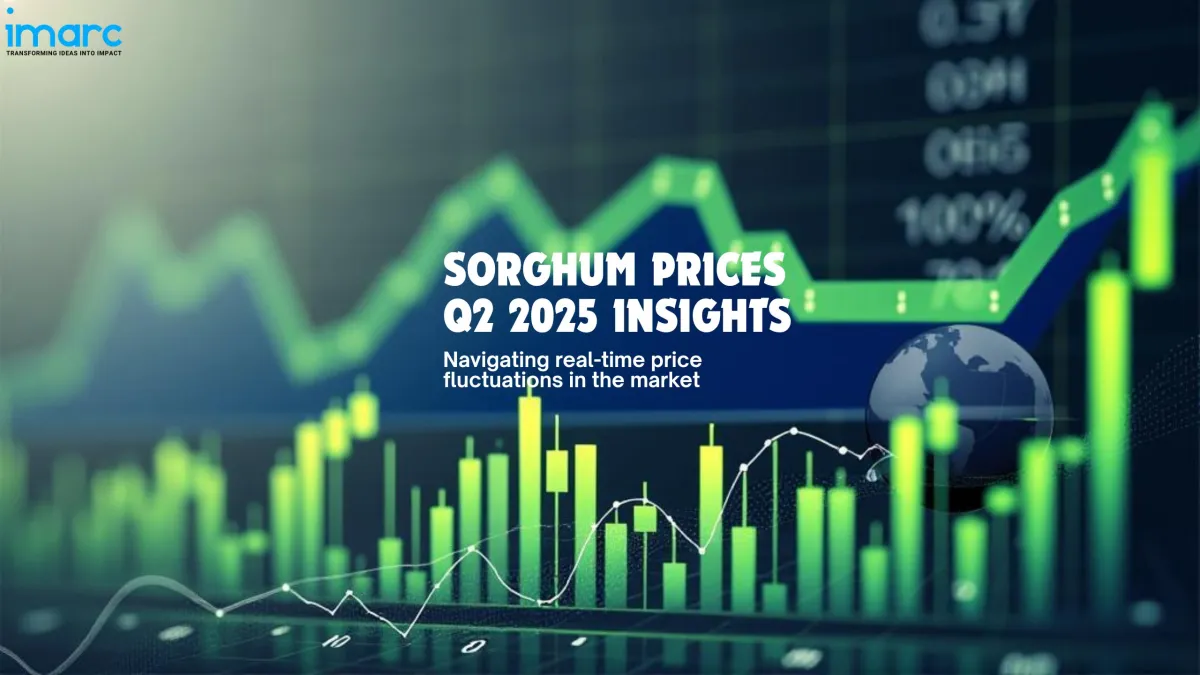 Sorghum Prices Q2 2025: Historical Data, Current Rates, And Price Forecast