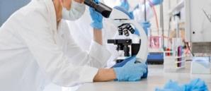 Cells Can Revive From Brink Of Death, Find CSIR-CCMB Scientists