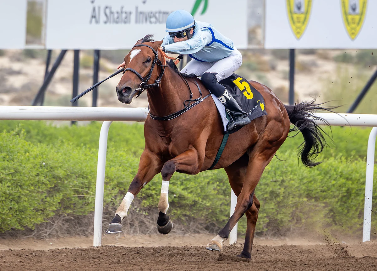 Emirati Trainers Dominate Jebel Ali Races With Four Wins In One Afternoon