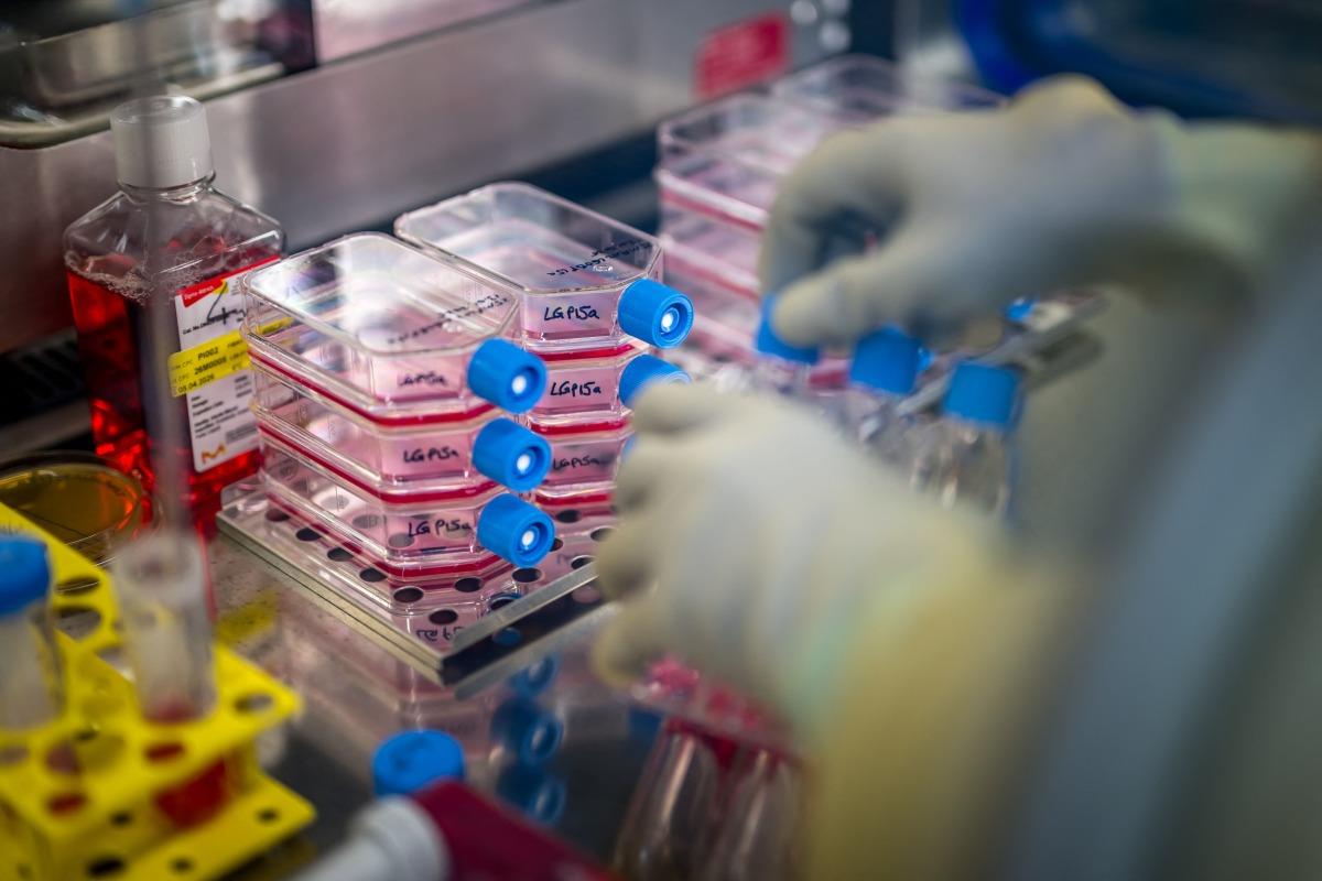 Experts Growing New Skin For Swiss Fire Victims