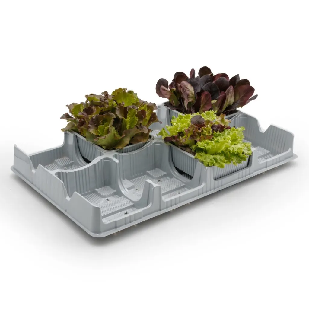 ILIP EXPANDS THE HORTIPACK LINE WITH TWO NEW R-PET PRODUCTS FOR ...