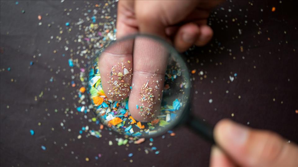 Microplastics Have Been Found To Interact With The Gut Microbiome Here ...