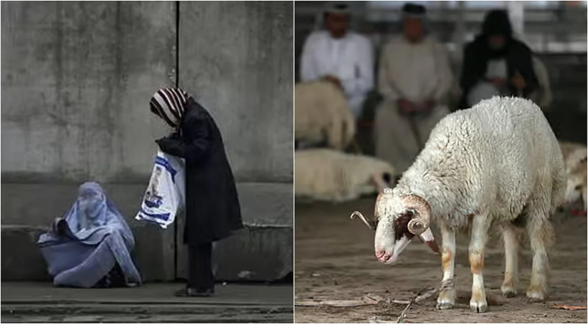 Dubai Police Warn Of Rise In Beggars, Street Butchers During Eid Al Adha