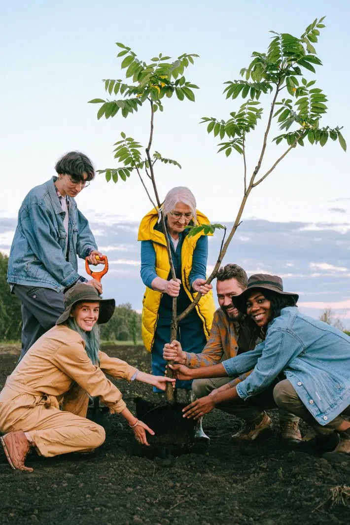 The 'Rewilding' Weekend: Why Some Seniors Are Choosing Local ...