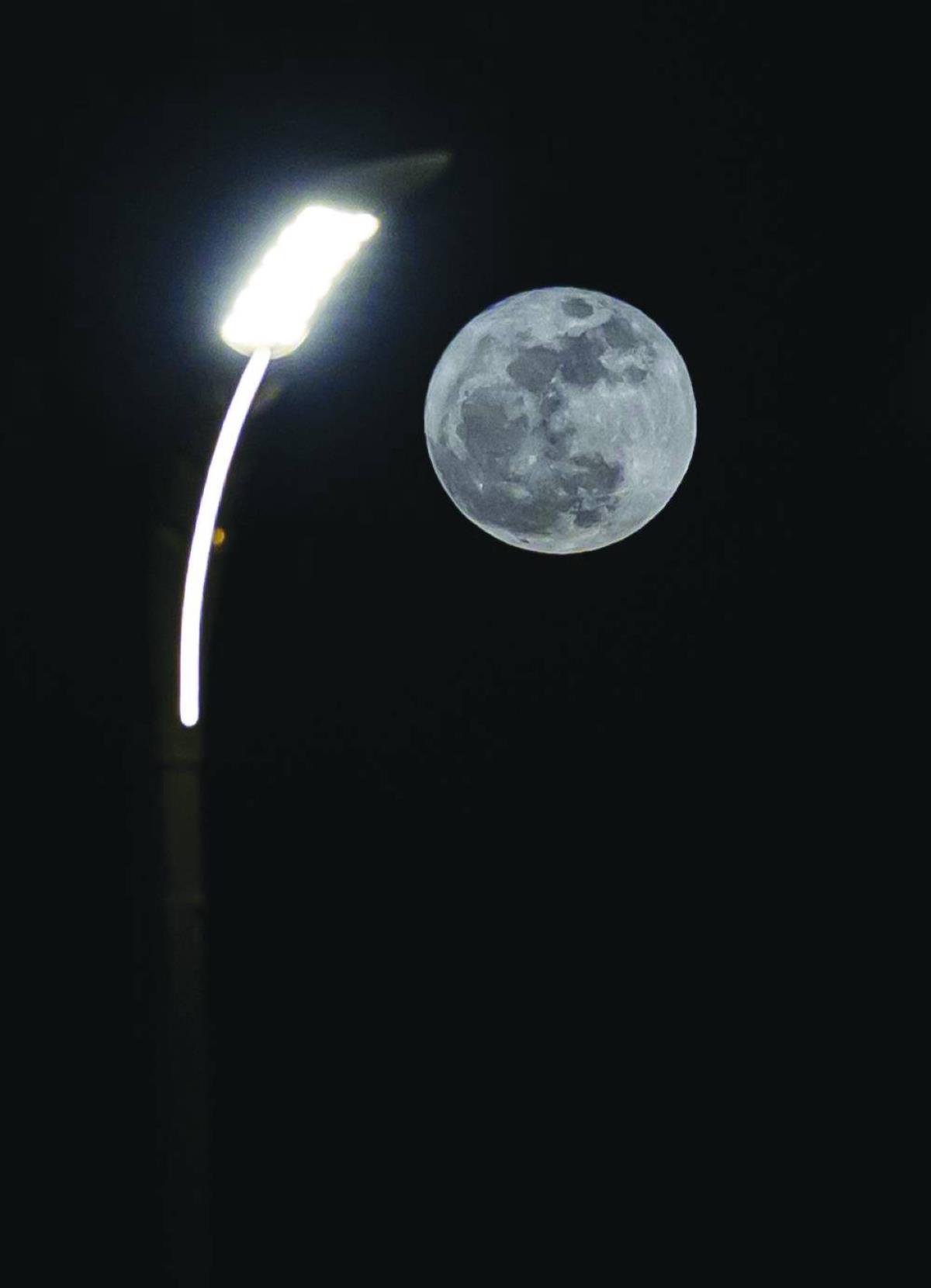 Blue Moon Lights Up The Night Sky