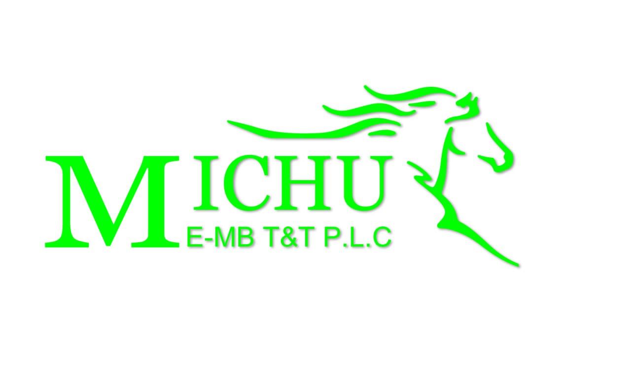 New Ethiopian E-Bus Operator Michu E-Mid-Bus Joins Equitypilot To Scale ...