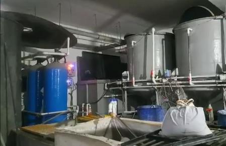 Four Workers Die After Inhaling Toxic Gas During Tank Cleaning At ...