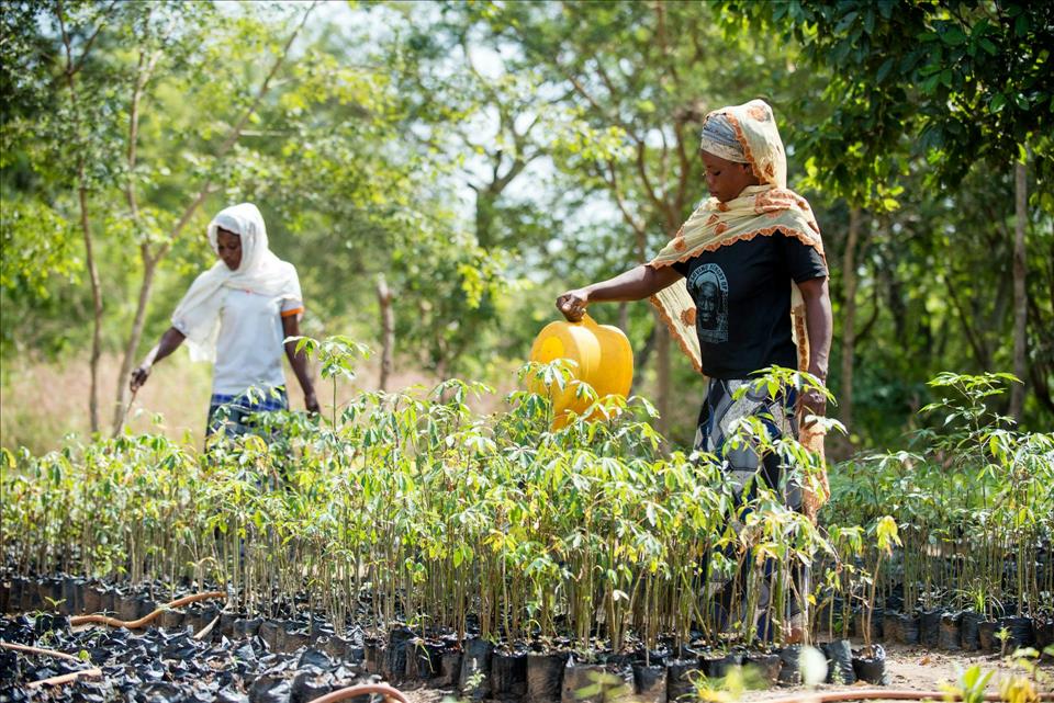 Community Conservation In Ghana Has Evolved, But Policy And Funding ...