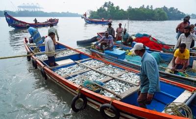 No Trawlers, Less Fish: Kerala Braces For Price Rise Of A Favourite Staple