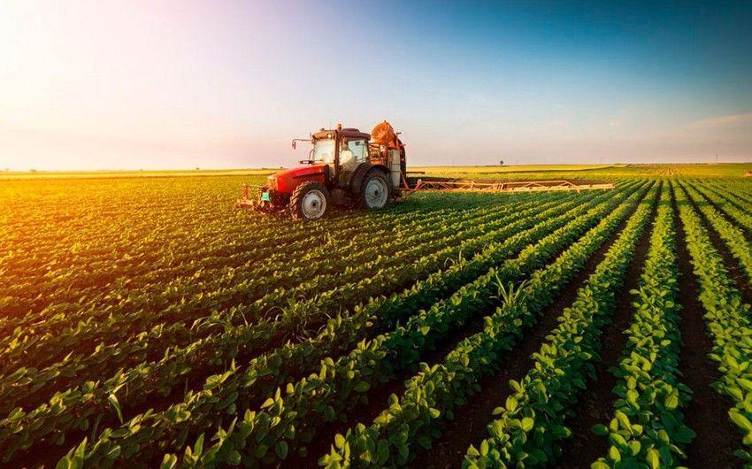 Azerbaijan Launches New Agricultural Support Program For 20262030