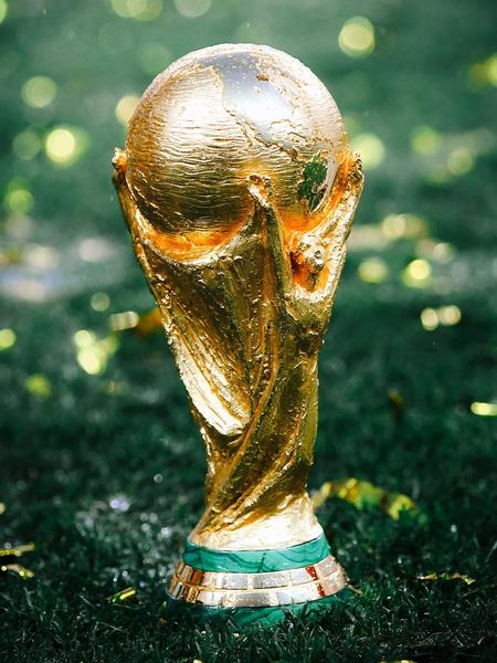 Football Fever Grips Sikkim As FIFA World Cup Captures Imagination Of ...