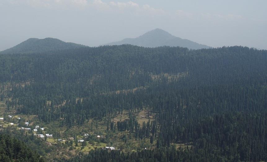 Need To Protect Forests Across Country: SC