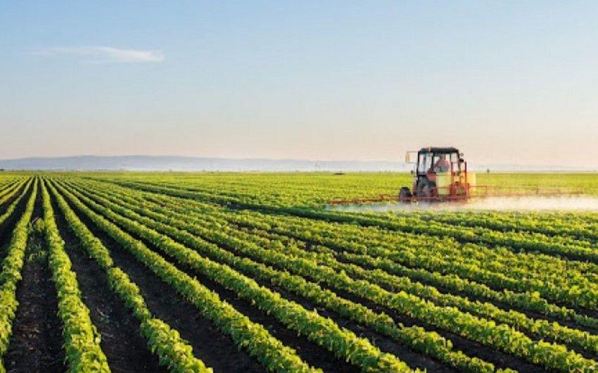 New Land Policy Is Building Future Of Farming In Liberated Territories