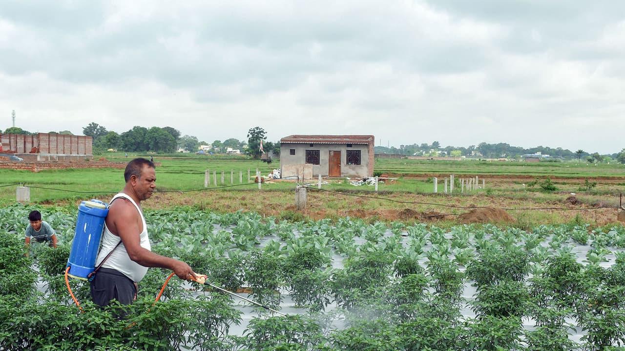 Telangana Urges Centre To Revise Rabi Paddy Procurement Target For 2025-26