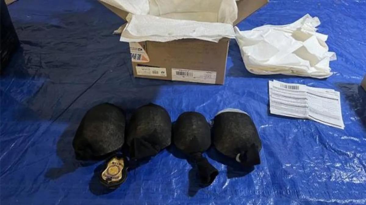 $1.4M Turtle Sock Smuggling Operation Earns Chinese Man A 2-Year Prison ...