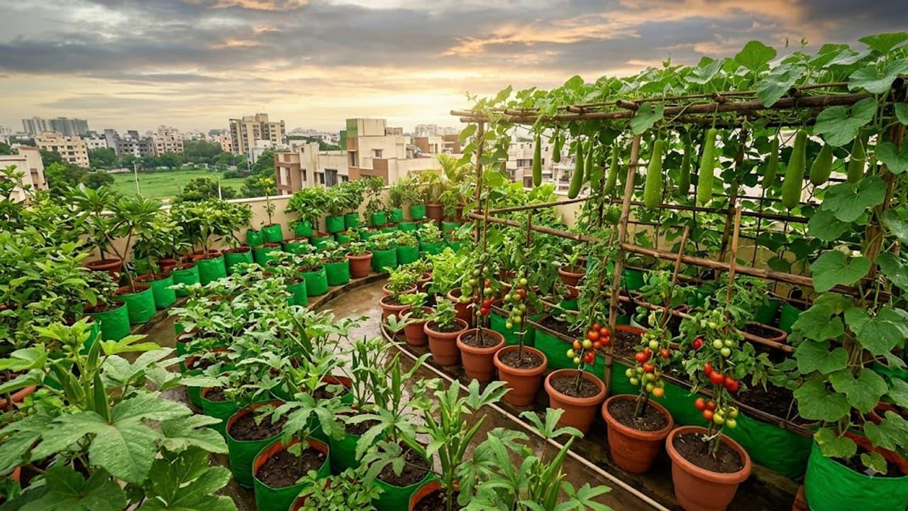 Gardening Tips: Is Your Plant Looking Thin & Weak? 5 Simple Ways To Get ...